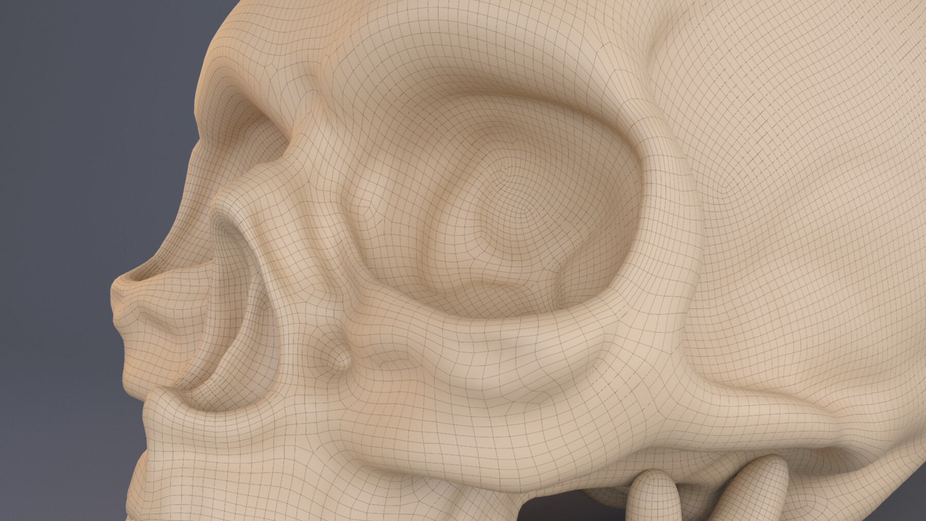 ArtStation - Skull | Game Assets