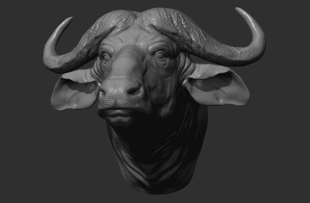 ArtStation - Buffalo head | Resources