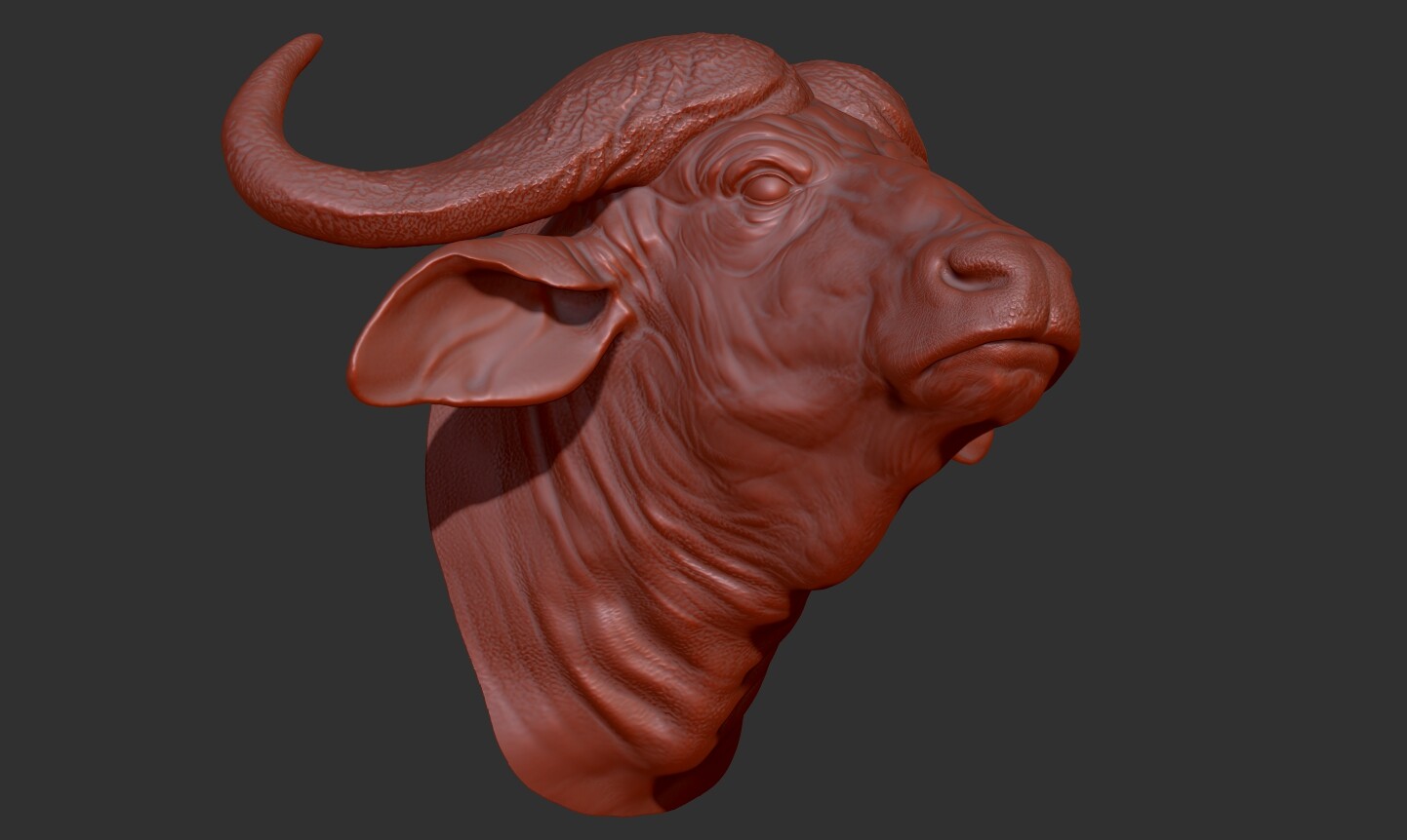 ArtStation - Buffalo head | Resources