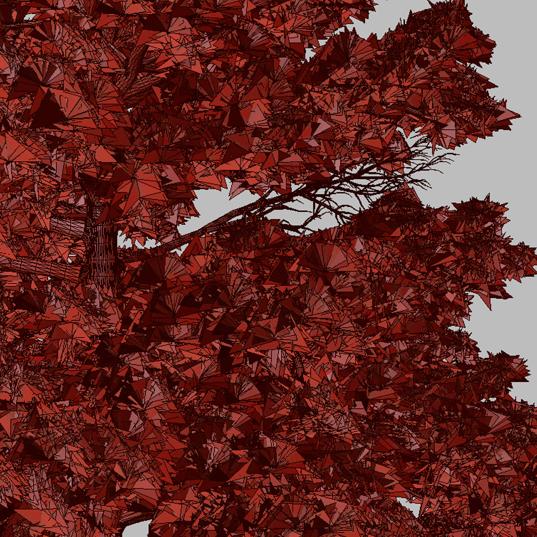 ArtStation - Set of White fir Trees ( Abies concolor ) (2 Trees ...