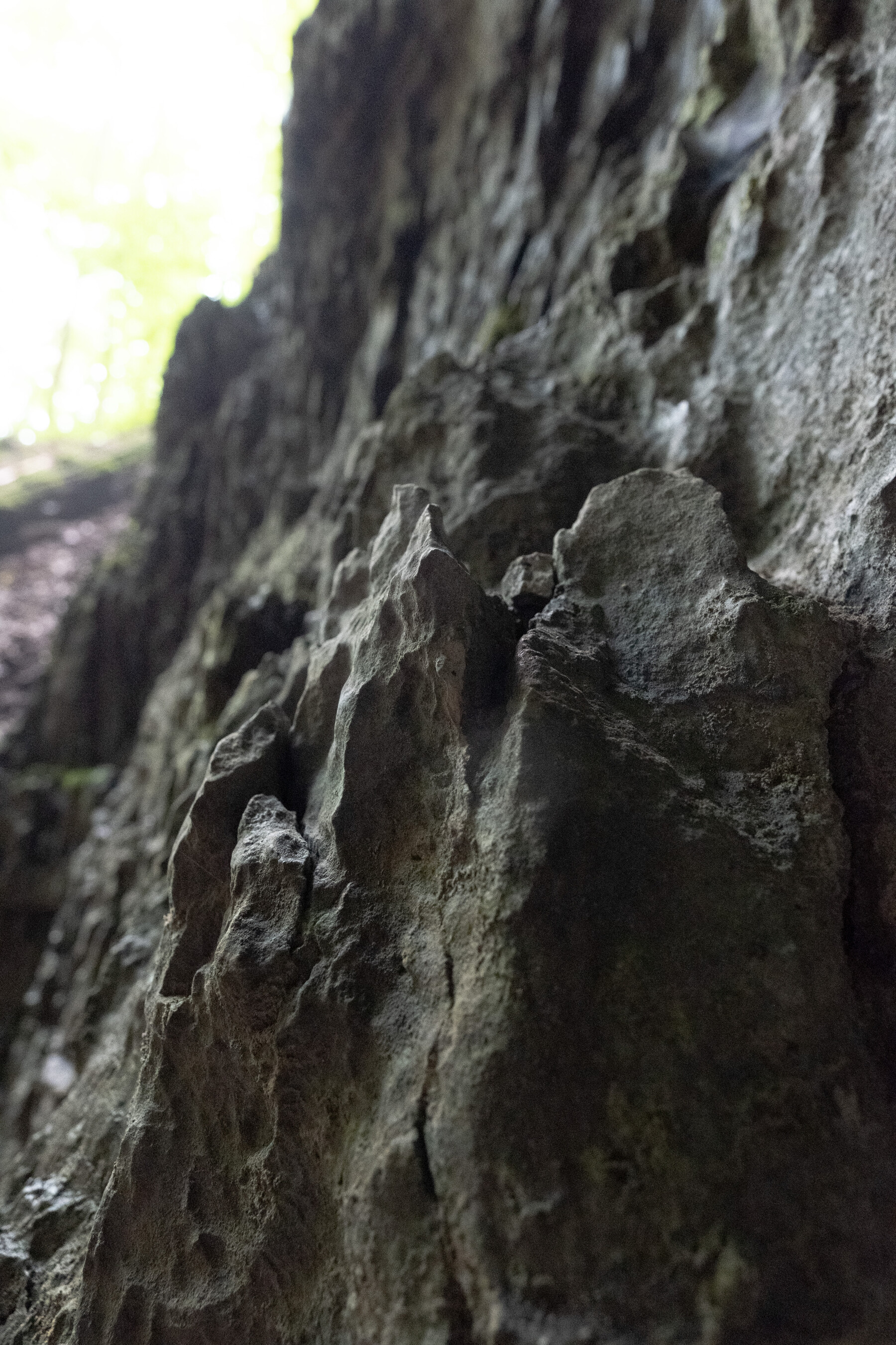 ArtStation - Alabama Rock Reference Photos | Resources