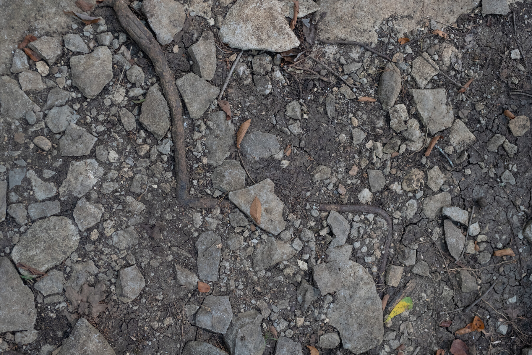 ArtStation - Alabama Rock Reference Photos | Resources