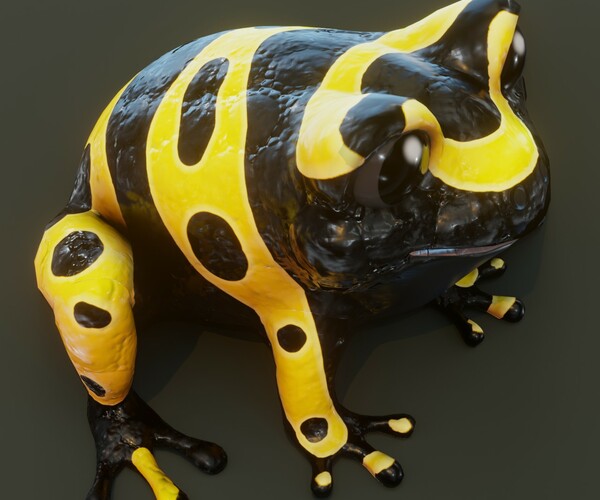 ArtStation - Cartoon Yellow-banded Frog Animated 3D Model | Game Assets