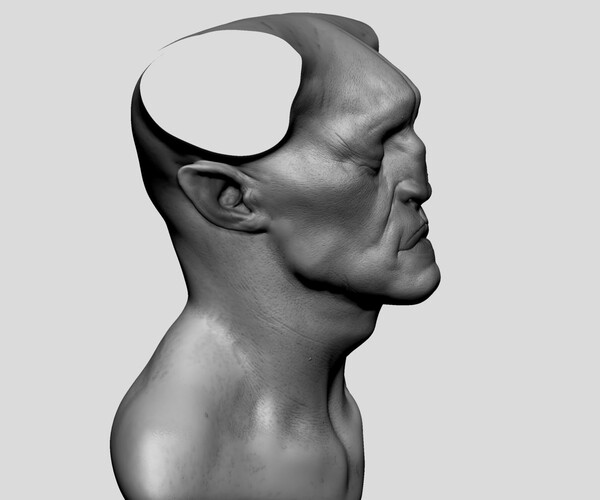 ArtStation - Creature Head 11 | Resources