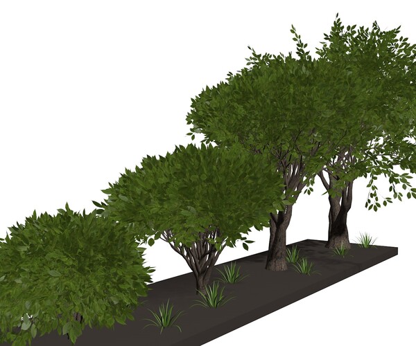 ArtStation - Trees and bushes 1 | Resources