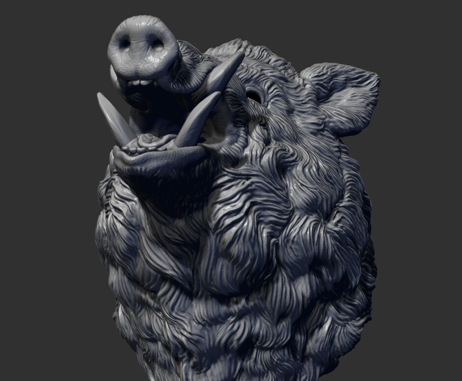 ArtStation - Wild boar hog | Resources