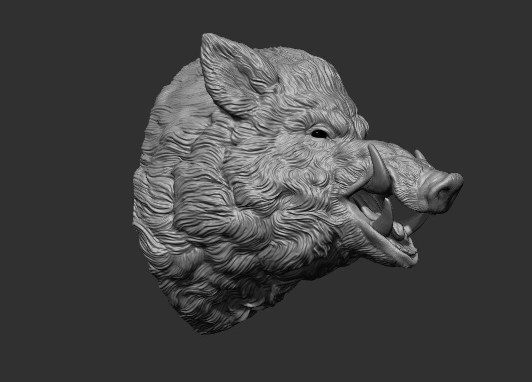 ArtStation - Wild boar hog | Resources