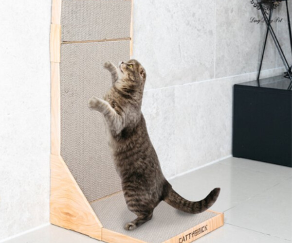 ArtStation - Pet Cat Wall Scratcher | Resources