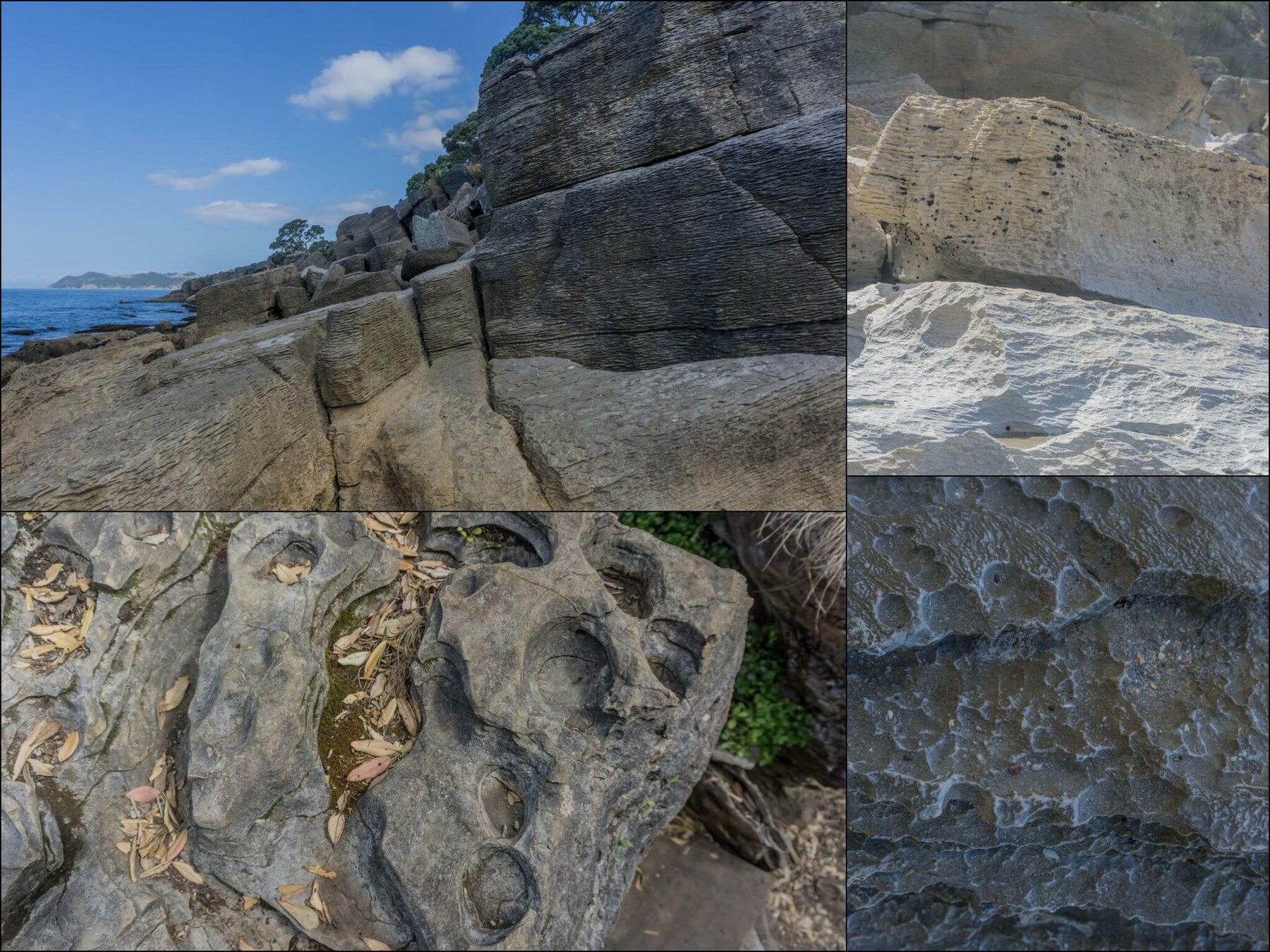 ArtStation - 259 photos of Waipu Layered Rocks | Resources