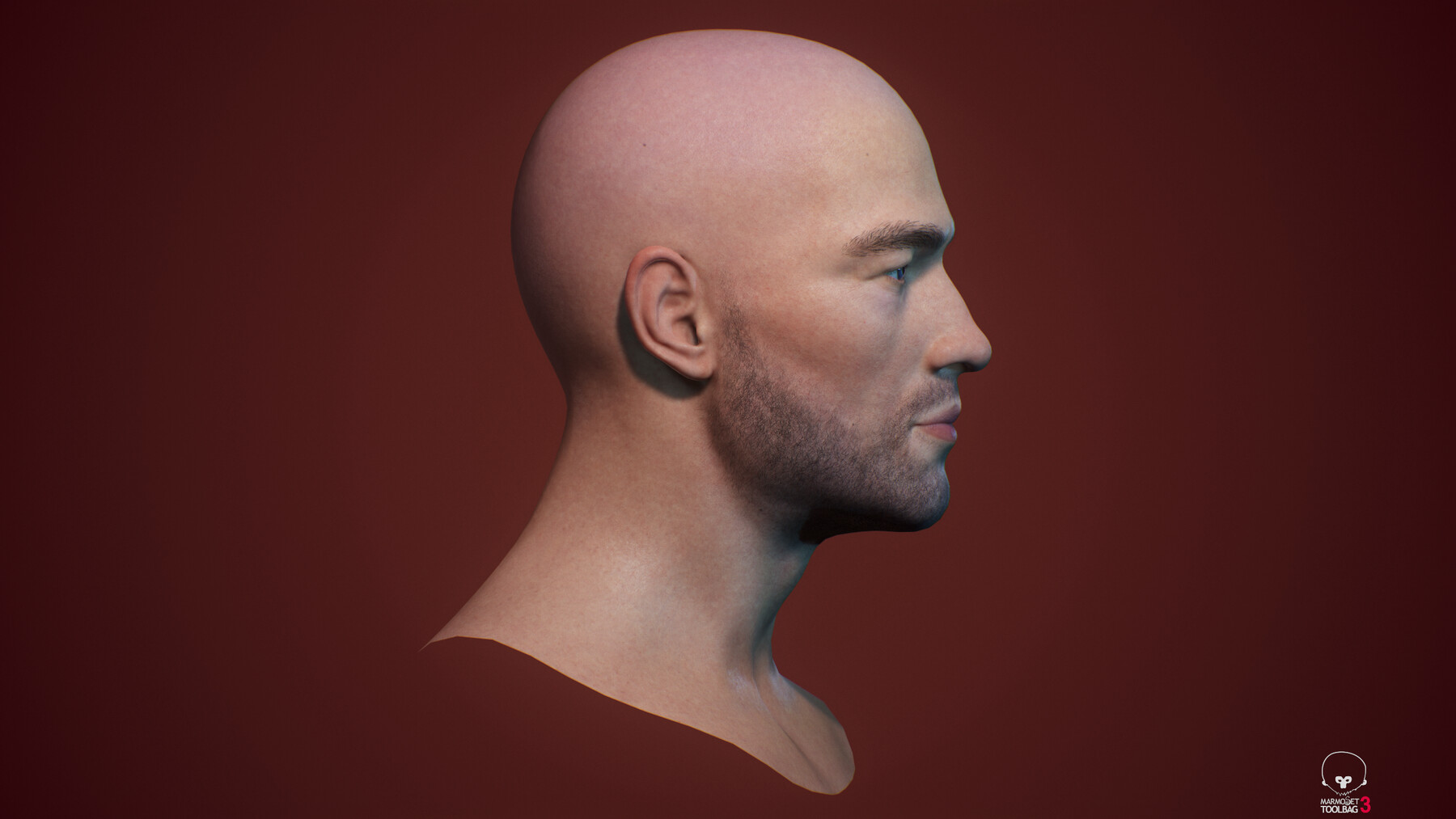 ArtStation - Head Pack - 01 | Game Assets