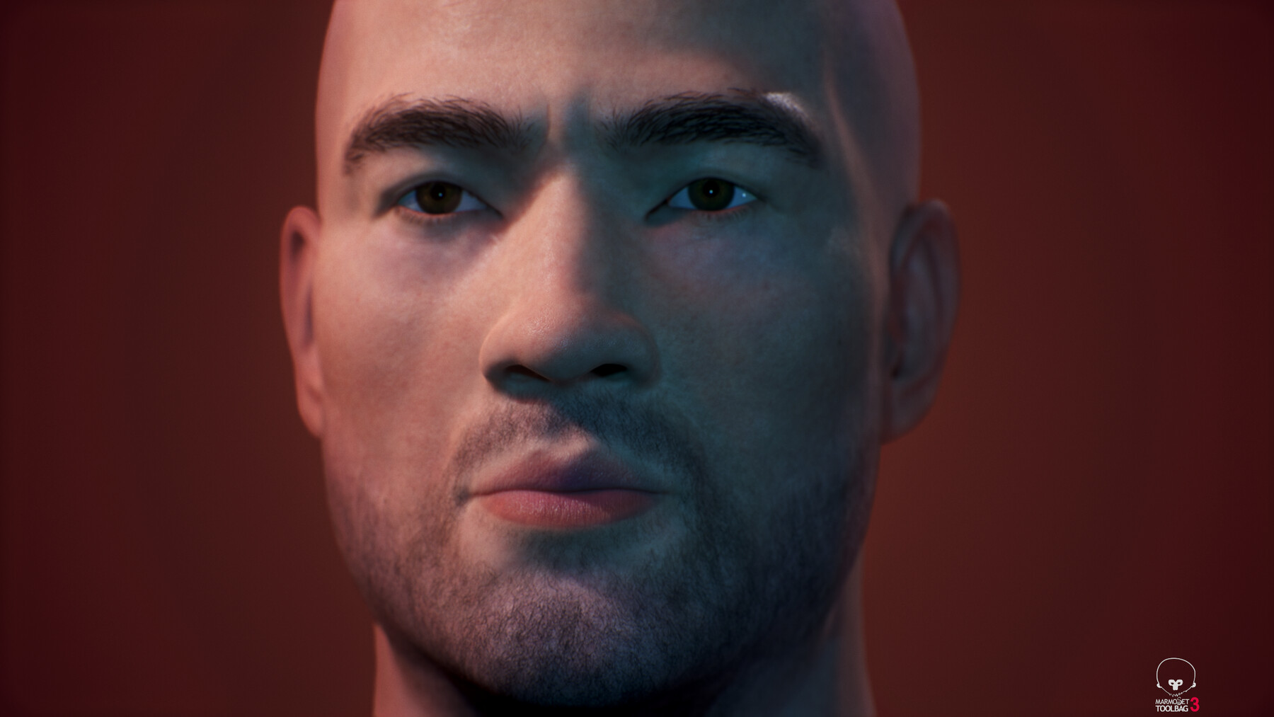 ArtStation - Head Pack - 02 | Game Assets