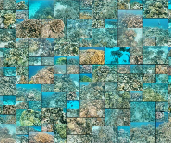 ArtStation - 564 photos of Great Barrier Coral Reef Clear Water | Resources