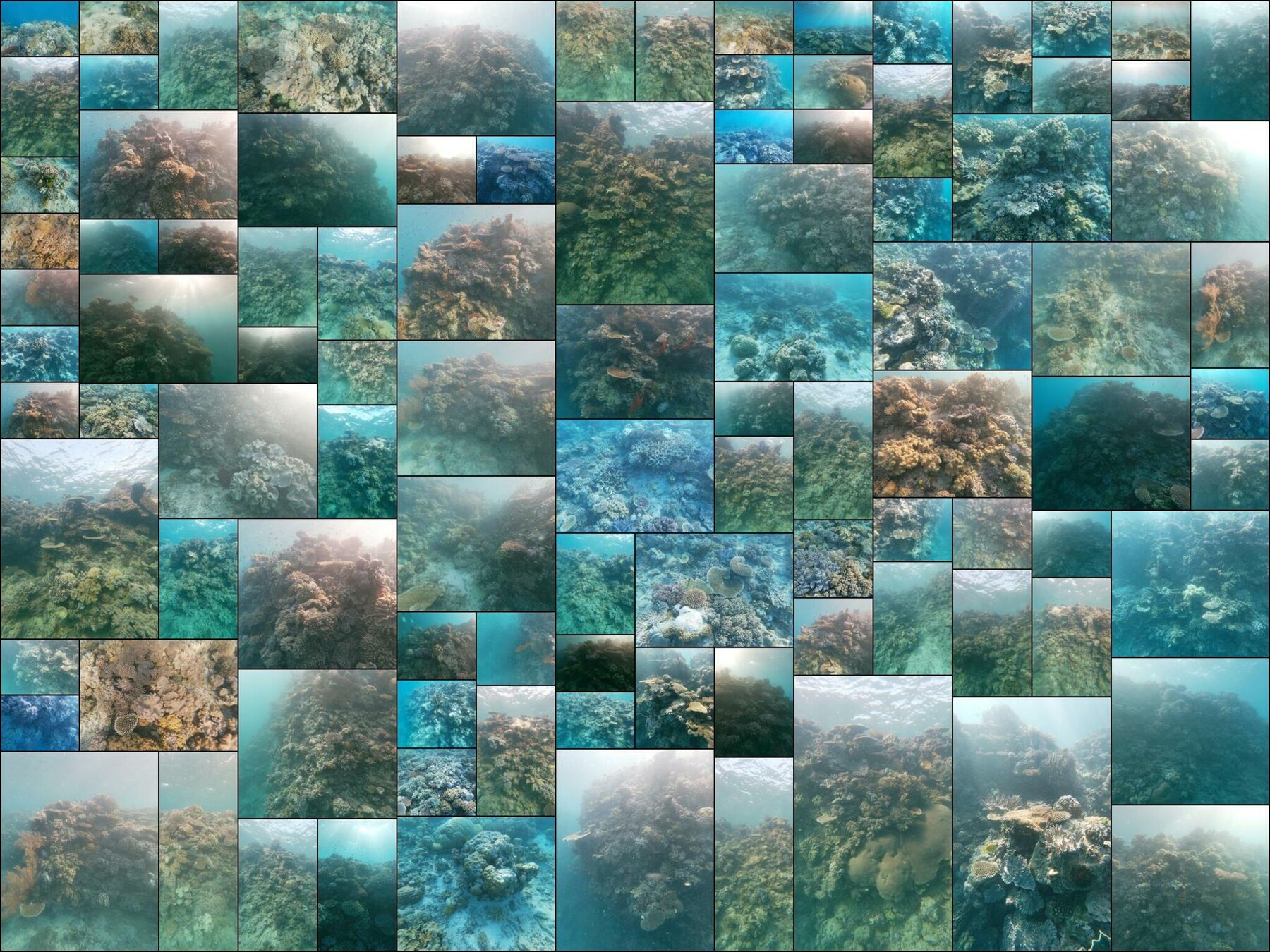 ArtStation - 202 photos of Coral Reef Sunset | Resources