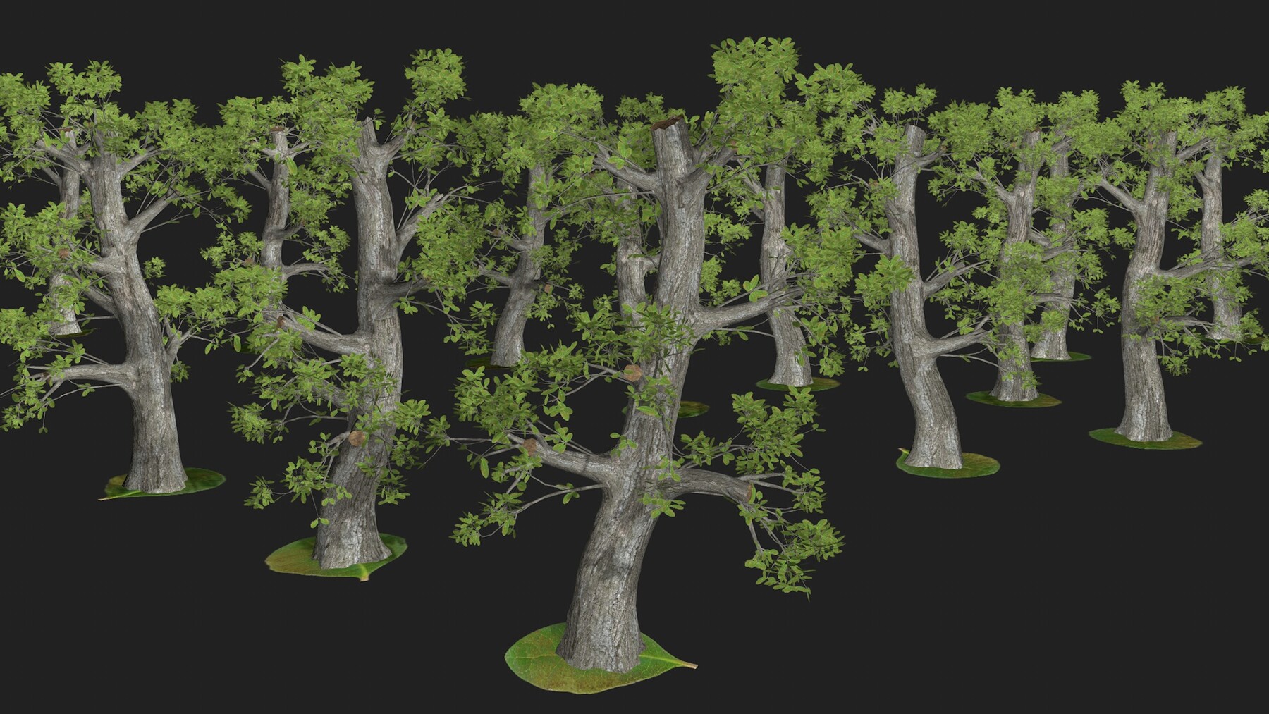 ArtStation - Old tree | Resources