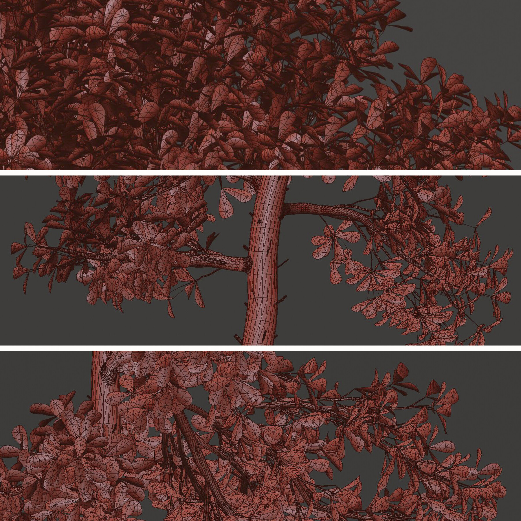 ArtStation - Set of Terminalia Mantaly Tree (Madagascar Almond) (2 ...