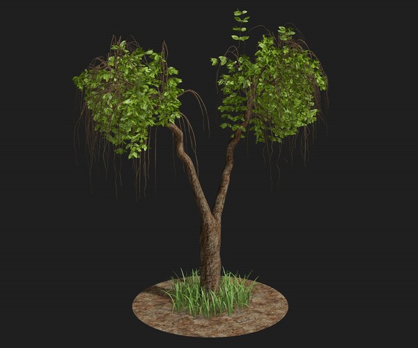 ArtStation - Fairy tree 2 | Resources