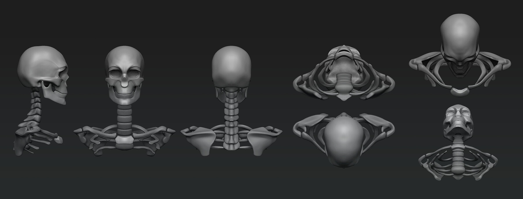 ArtStation - Facial Muscles | Resources