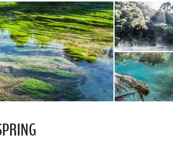 ArtStation - 464 photos of Blue Spring | Resources