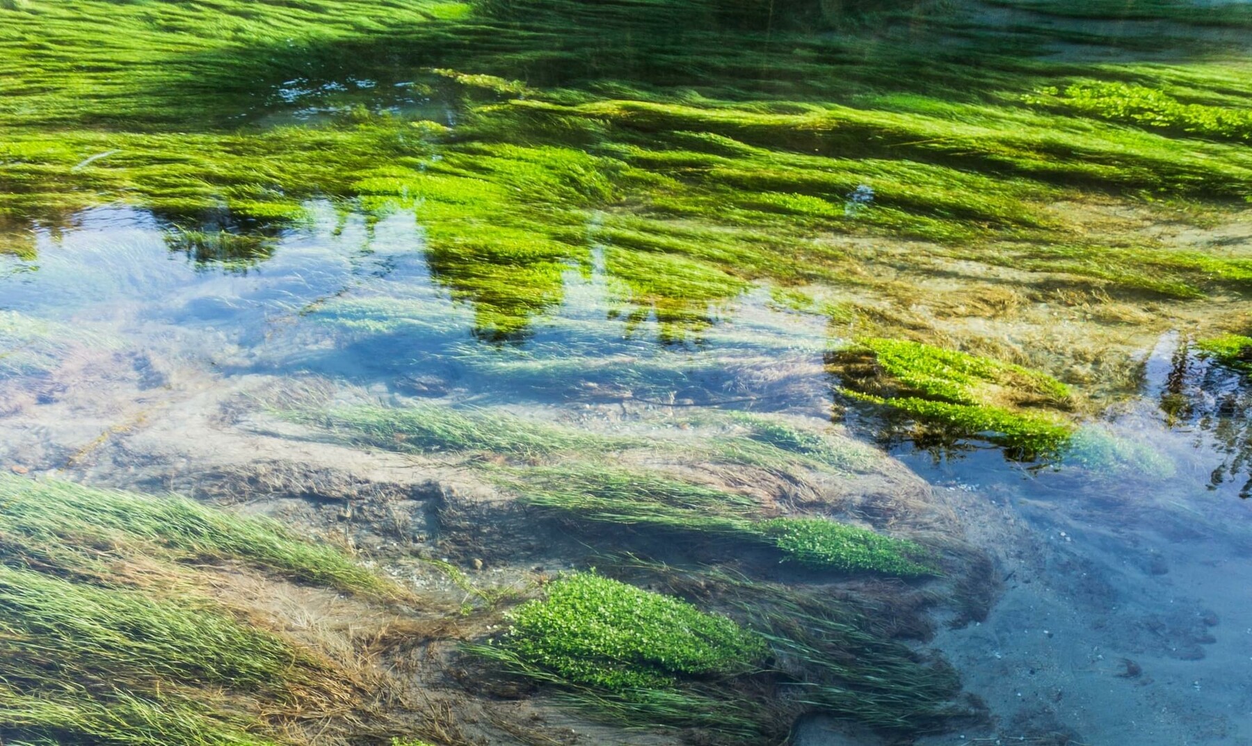 ArtStation - 464 photos of Blue Spring | Resources