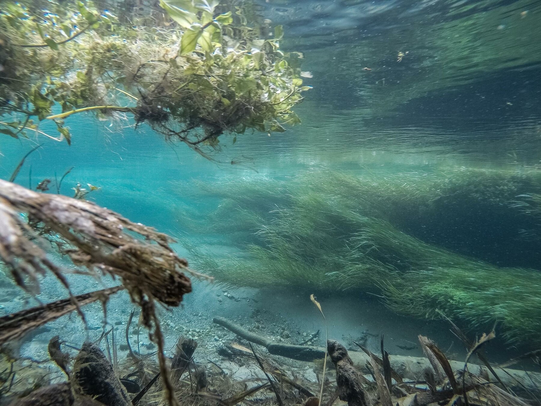 ArtStation - 464 photos of Blue Spring | Resources