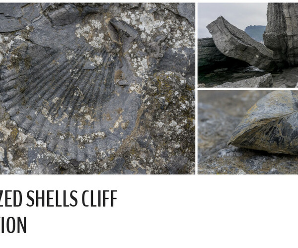ArtStation - 264 photos of Fossilized Shells Cliff Formation | Resources