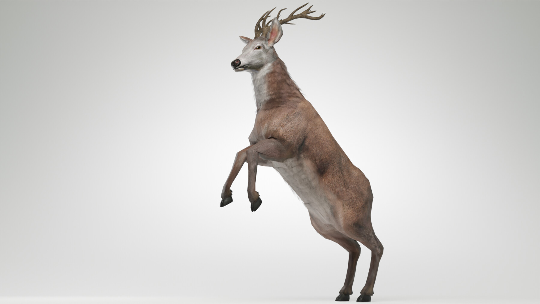 ArtStation - Animated Lowpoly Deer | Game Assets