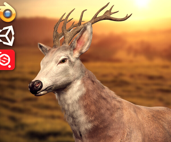 ArtStation - Animated Lowpoly Deer | Game Assets