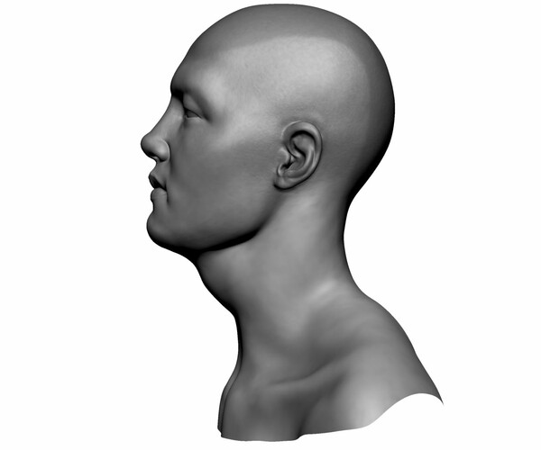 ArtStation - Asian Male Head 02 | Resources