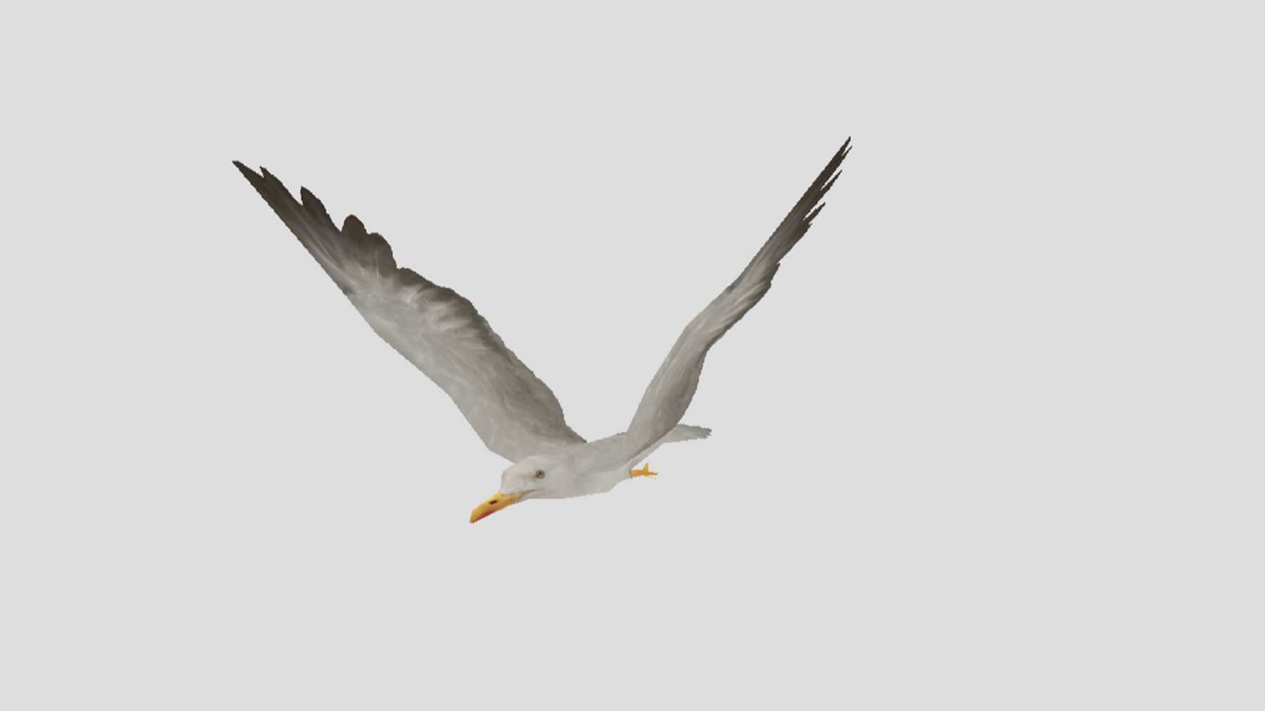 ArtStation - Seagull | Game Assets