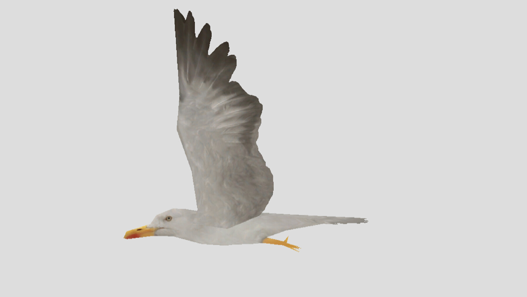 ArtStation - Seagull | Game Assets