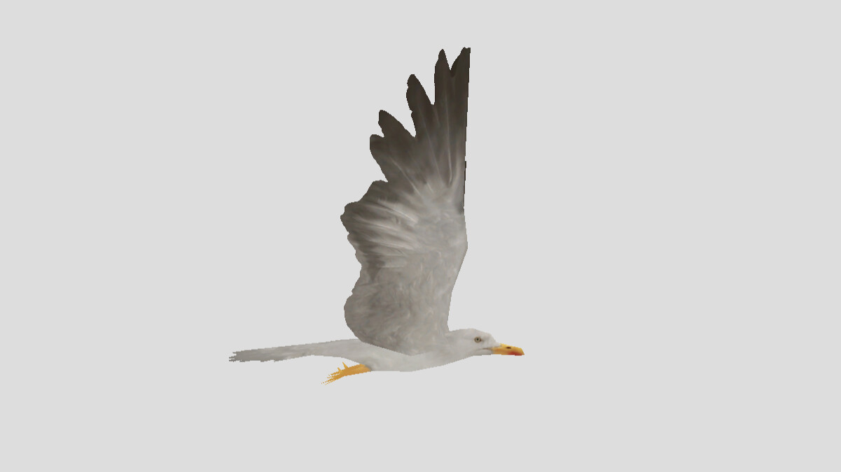 ArtStation - Seagull | Game Assets