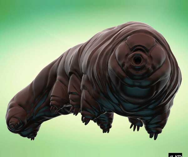 ArtStation - Tardigrade - Statue for 3D printing | Resources