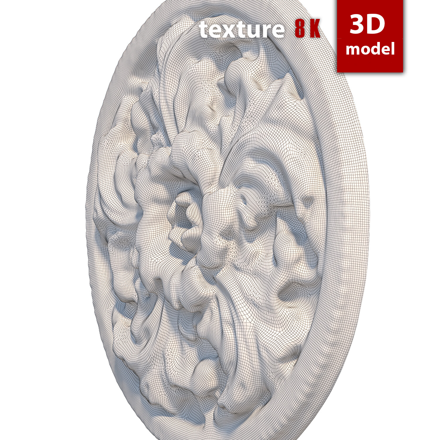 ArtStation - 360 Gypsum socket | Resources