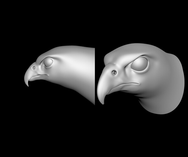 ArtStation - Bird head | Resources