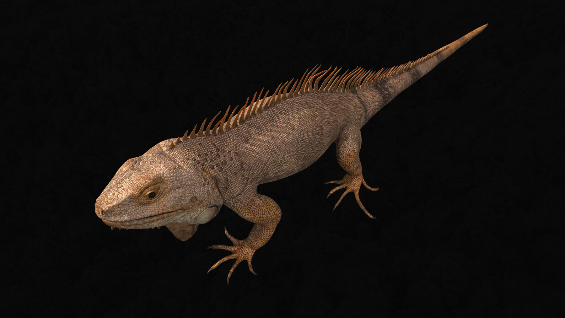 ArtStation - Animal Pack Part 1 | Resources