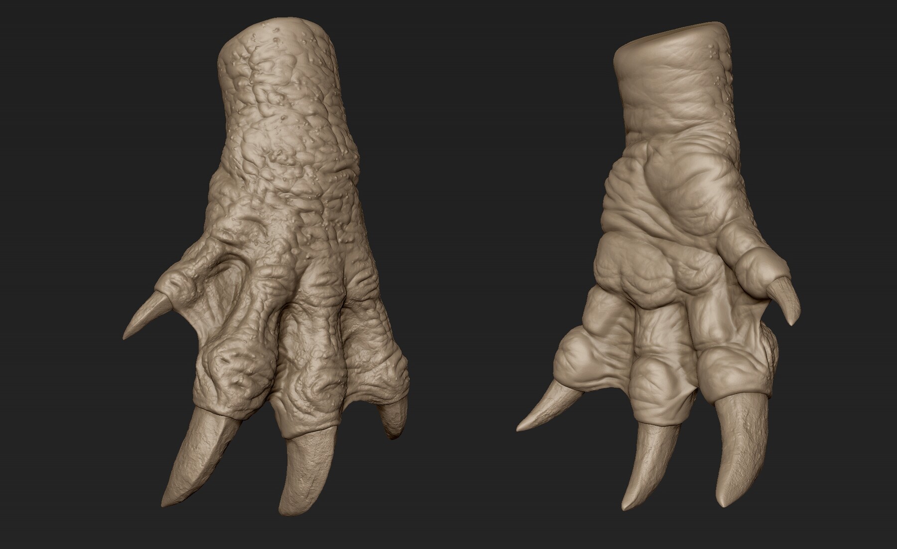 ArtStation - Creature Hand 2 | Resources