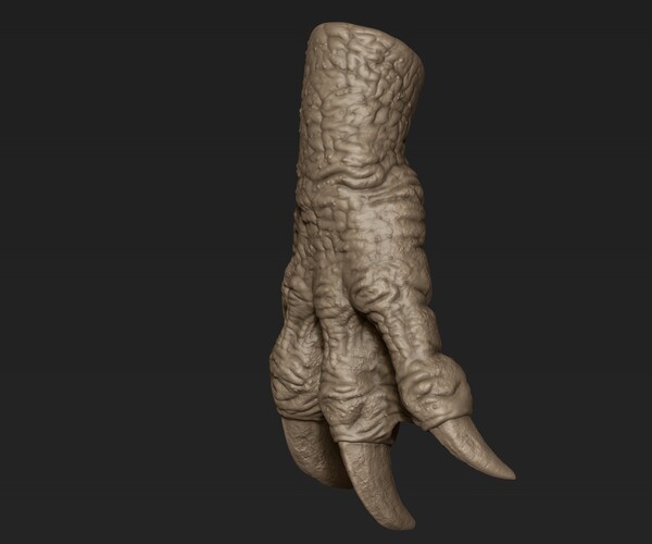 ArtStation - Creature Hand 2 | Resources