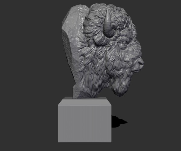 ArtStation - Bison bust | Resources