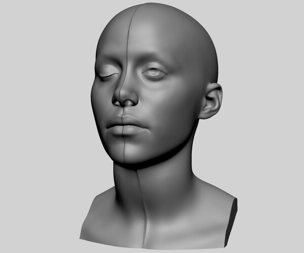 ArtStation - Female Head Printable | Resources