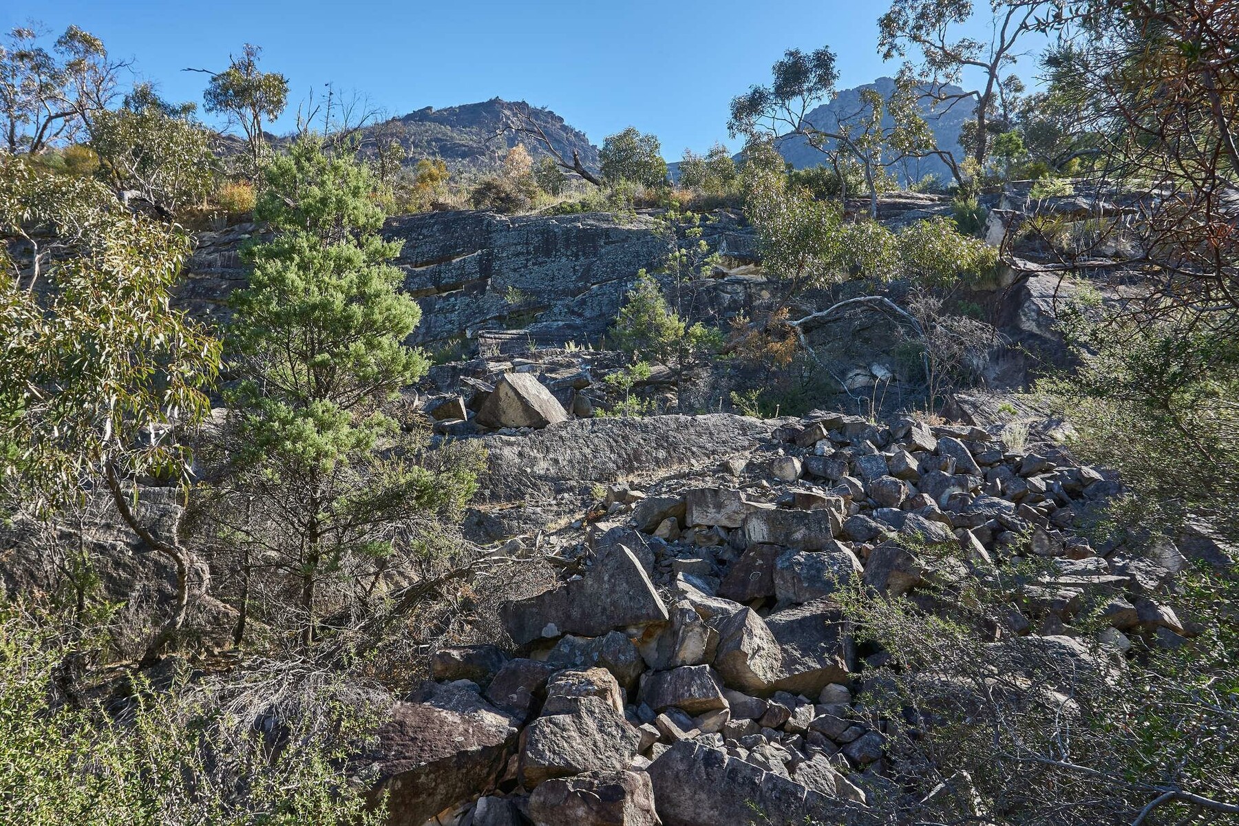 ArtStation - 302 photos of Abandoned Stone Quarry | Resources