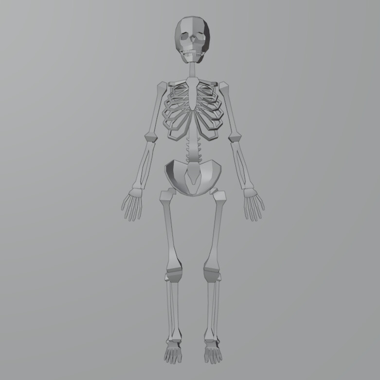 ArtStation - Skeleton | Game Assets