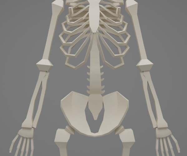 ArtStation - Skeleton | Game Assets