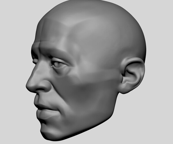 ArtStation - Base Male Head Anatomy | Resources