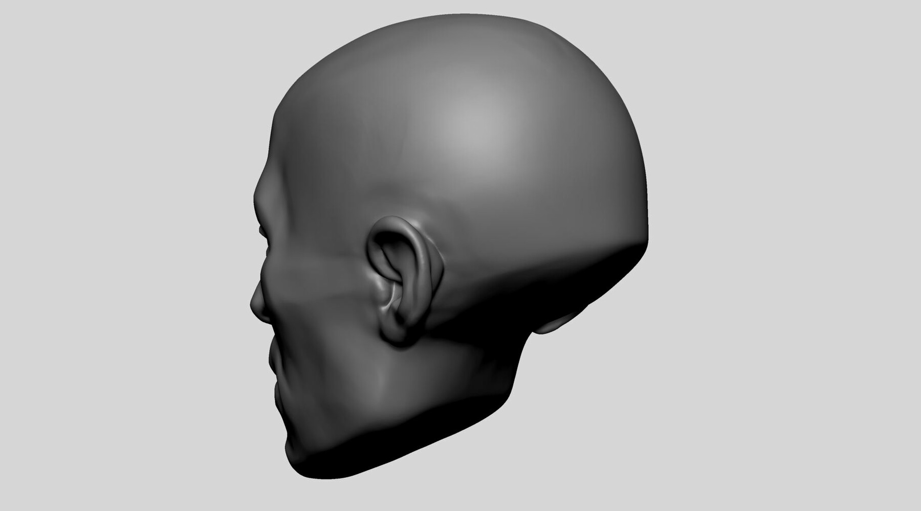 ArtStation - Base Male Head Anatomy | Resources