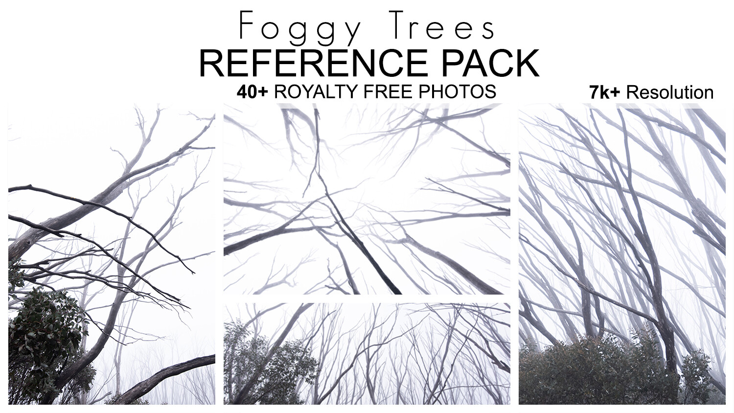 ArtStation - Mega Reference Bundle II - 24 Reference Packs | Resources
