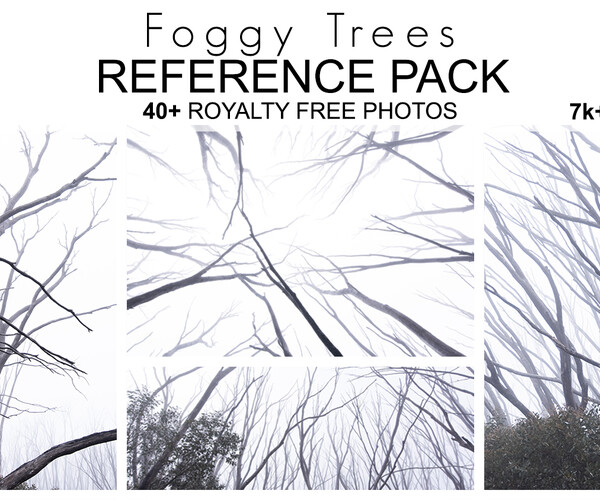 ArtStation - Mega Reference Bundle II - 24 Reference Packs | Resources