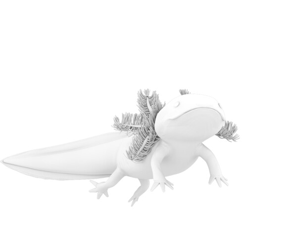 ArtStation - Axolotl | Game Assets