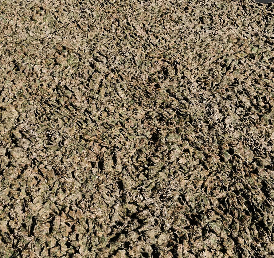 ArtStation - Rough Terrain | Game Assets