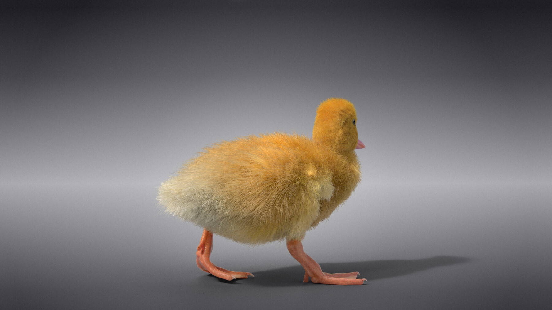 ArtStation - 3D Animal | Duckling | VFX Grace | Resources