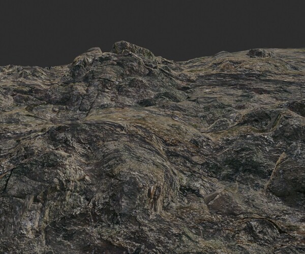 ArtStation - Rock Face | Game Assets